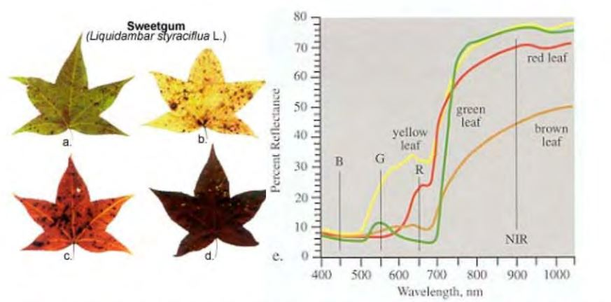 Solved Draw the typical reflectance curve between 0.4 and | Chegg.com