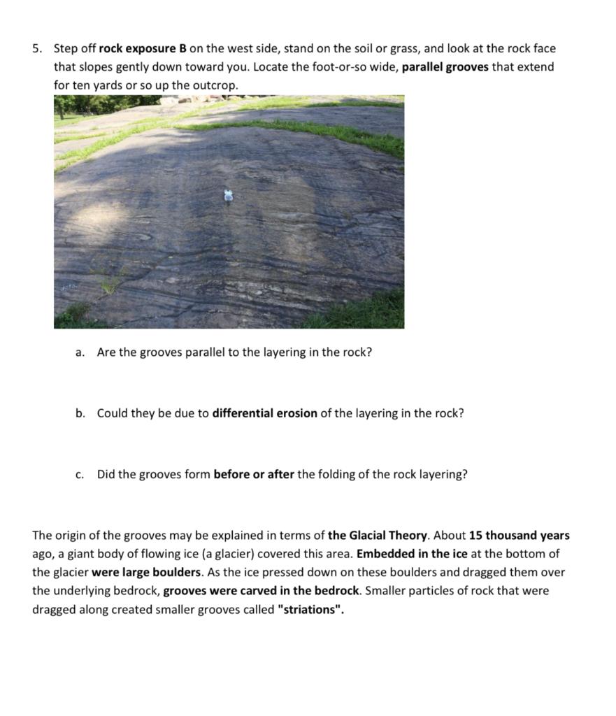 4. Note the complex folding of the layers in part of | Chegg.com