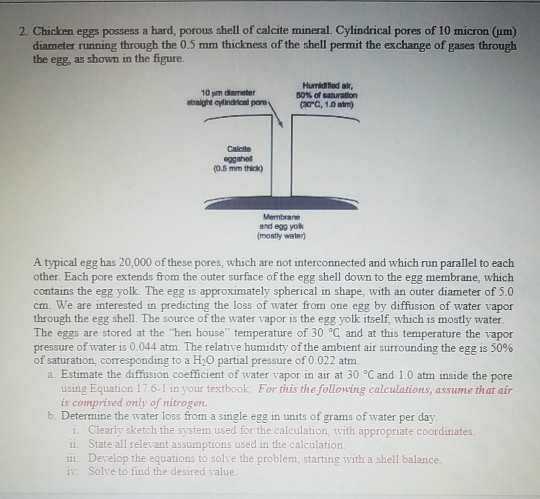 Solved 2. Chicken eggs possess a hard, porous shell of | Chegg.com