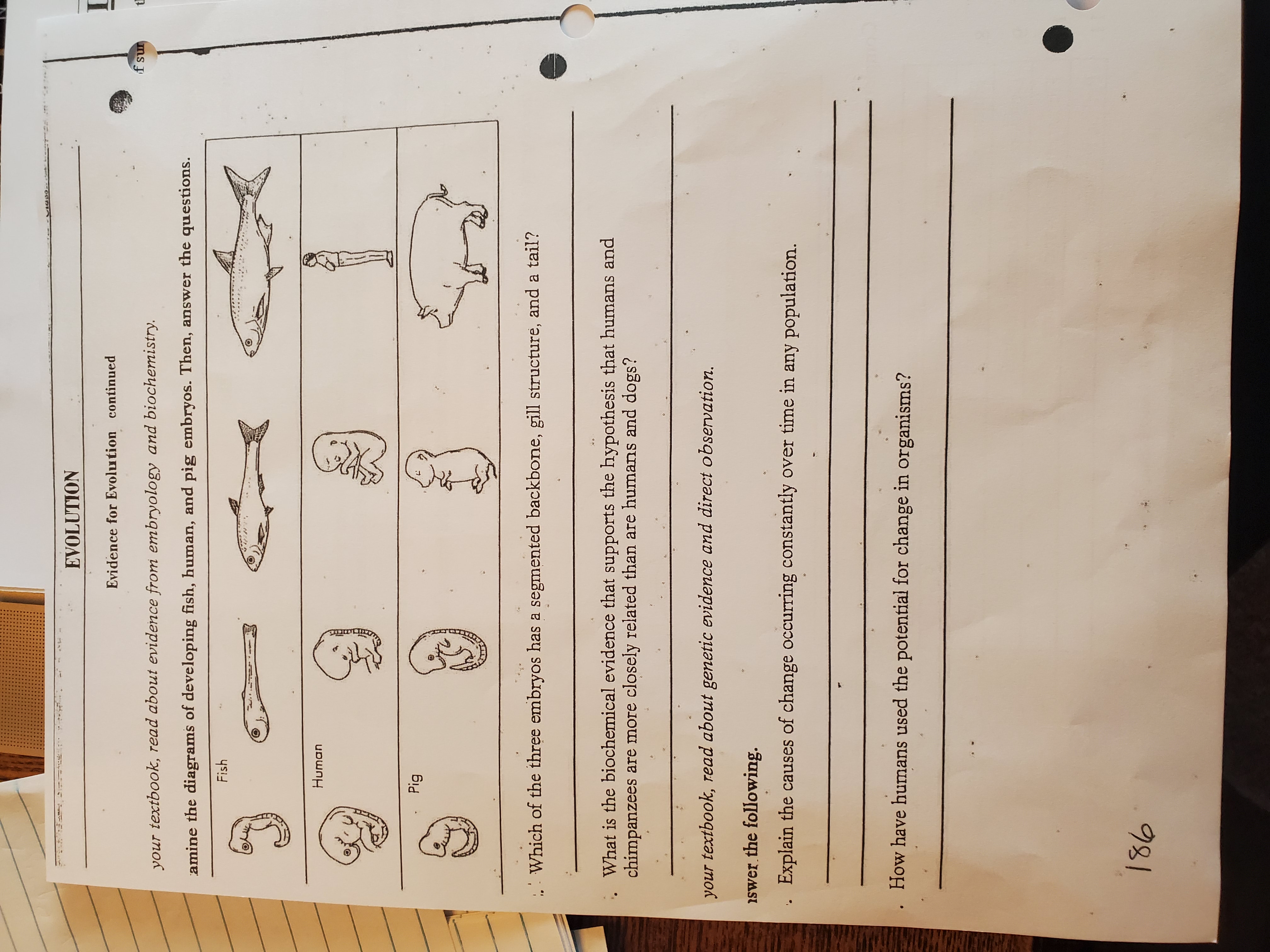 Solved Evidence for Evolution continued your textbook, read | Chegg.com