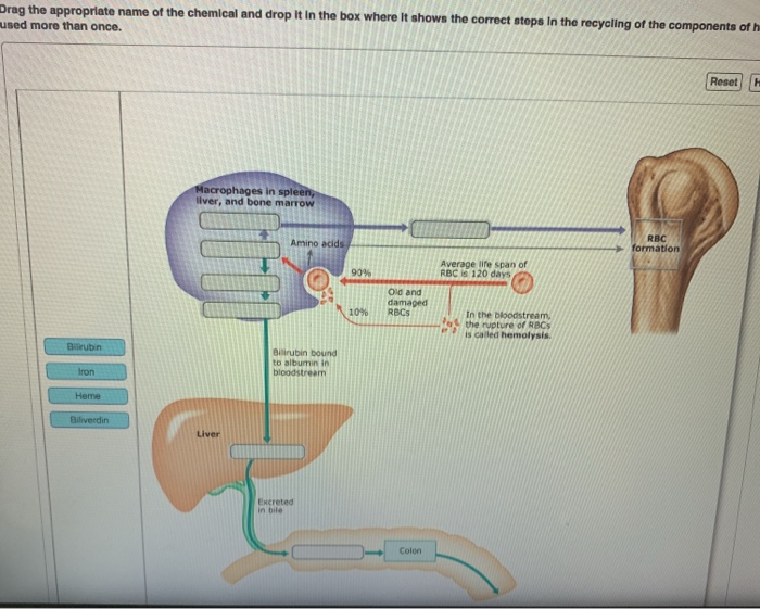 Solved Drag the appropriate name of the chemical and drop It | Chegg.com