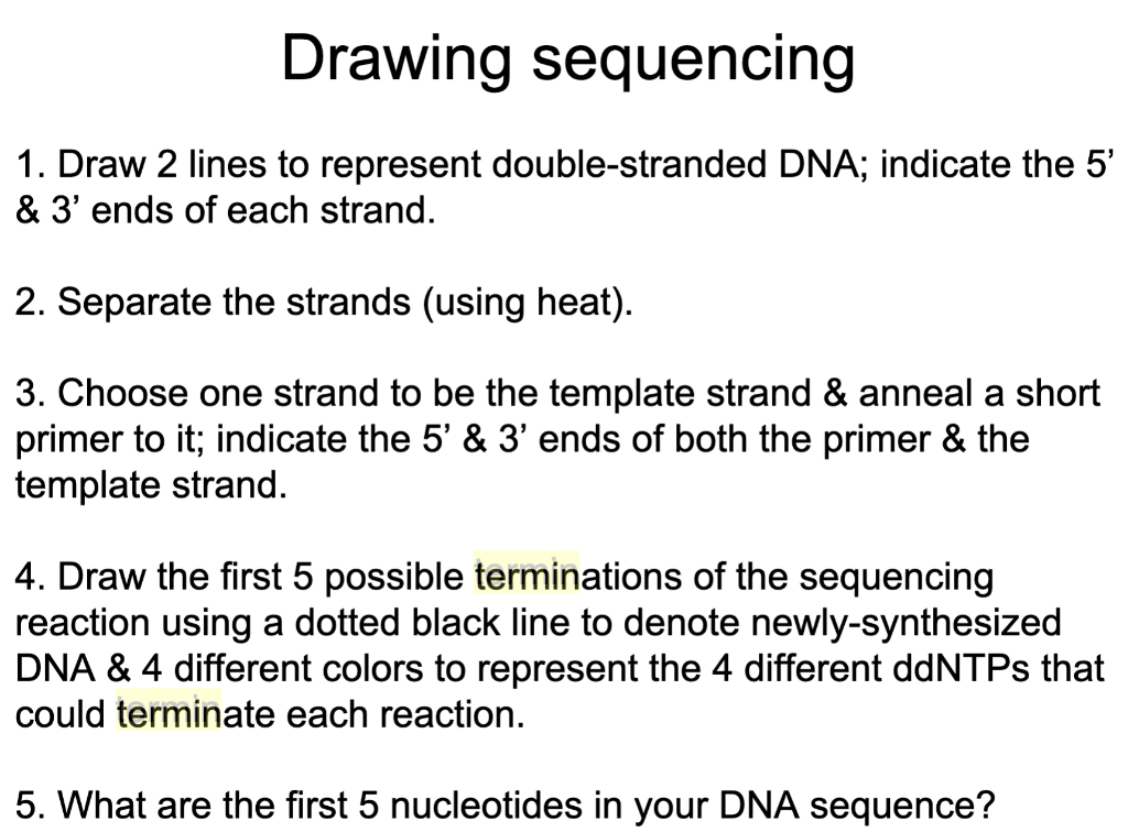 Solved Drawing sequencing 1. Draw 2 lines to represent | Chegg.com