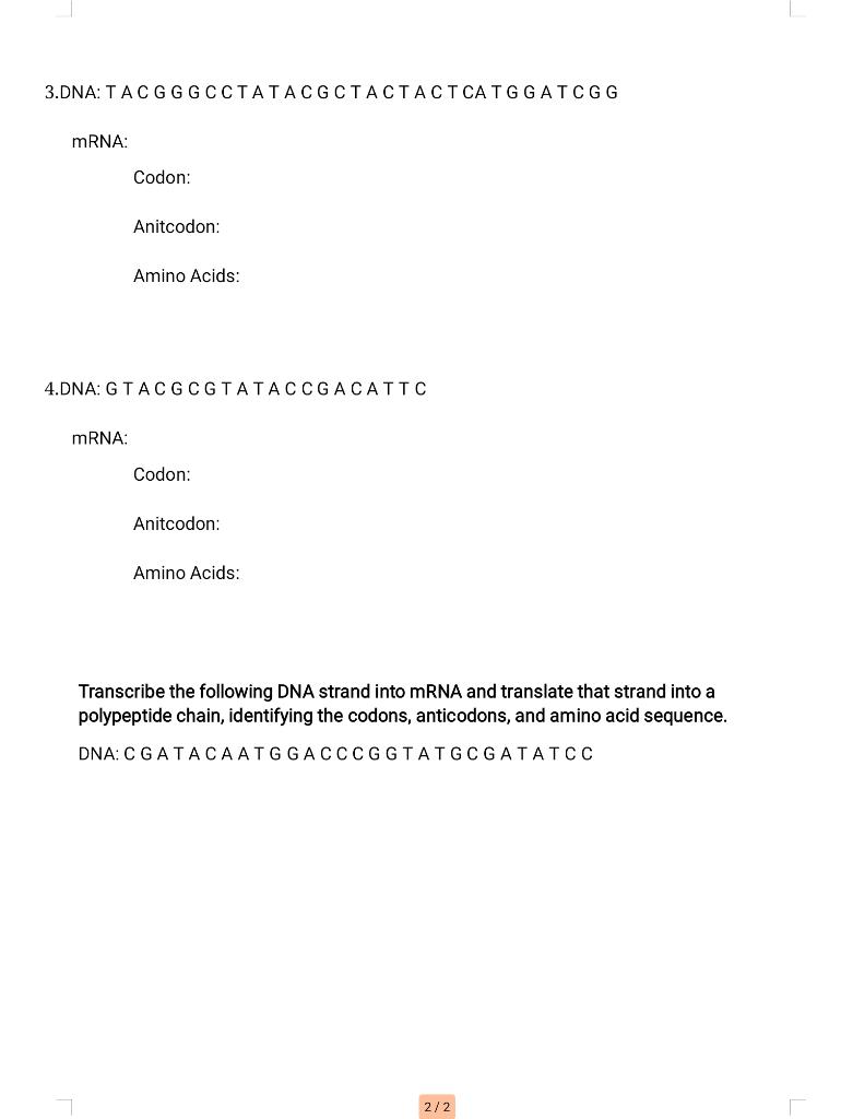 Solved 3.DNA: T A C G G G C C TA TA C G C T A C T A C T CA T | Chegg.com