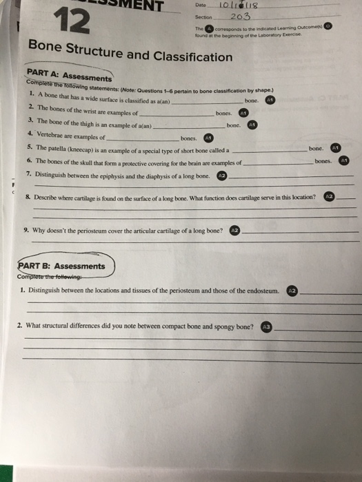 Solved Date . Loli ( 1 g 12 Bone Structure and | Chegg.com
