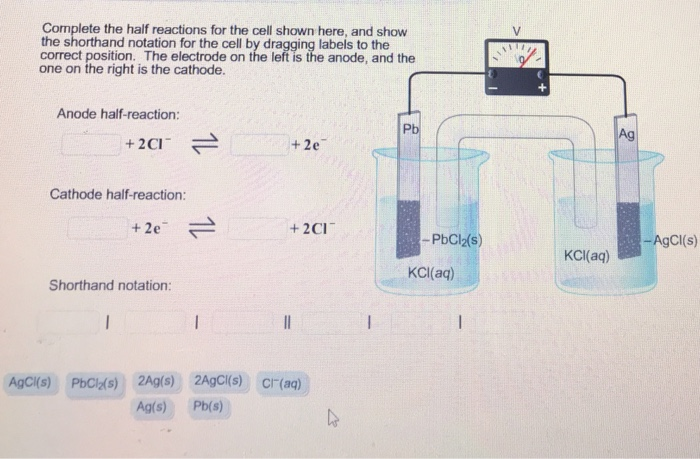 Solved Complete the half reactions for the cell shown here, | Chegg.com