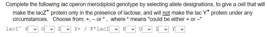Solved Complete the following lac operon merodiploid | Chegg.com