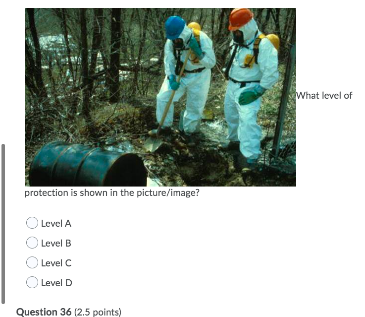 Solved What level of protection is shown in the | Chegg.com
