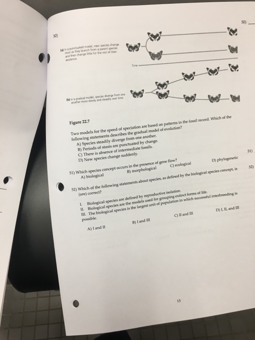 Solved Two model for the speed of speciation are based on | Chegg.com