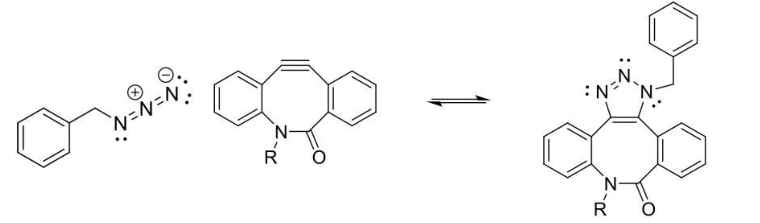 Solved Draw the second regioisomer that could be formed from | Chegg.com