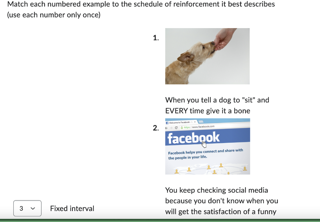 Solved Match each numbered example to the schedule of | Chegg.com