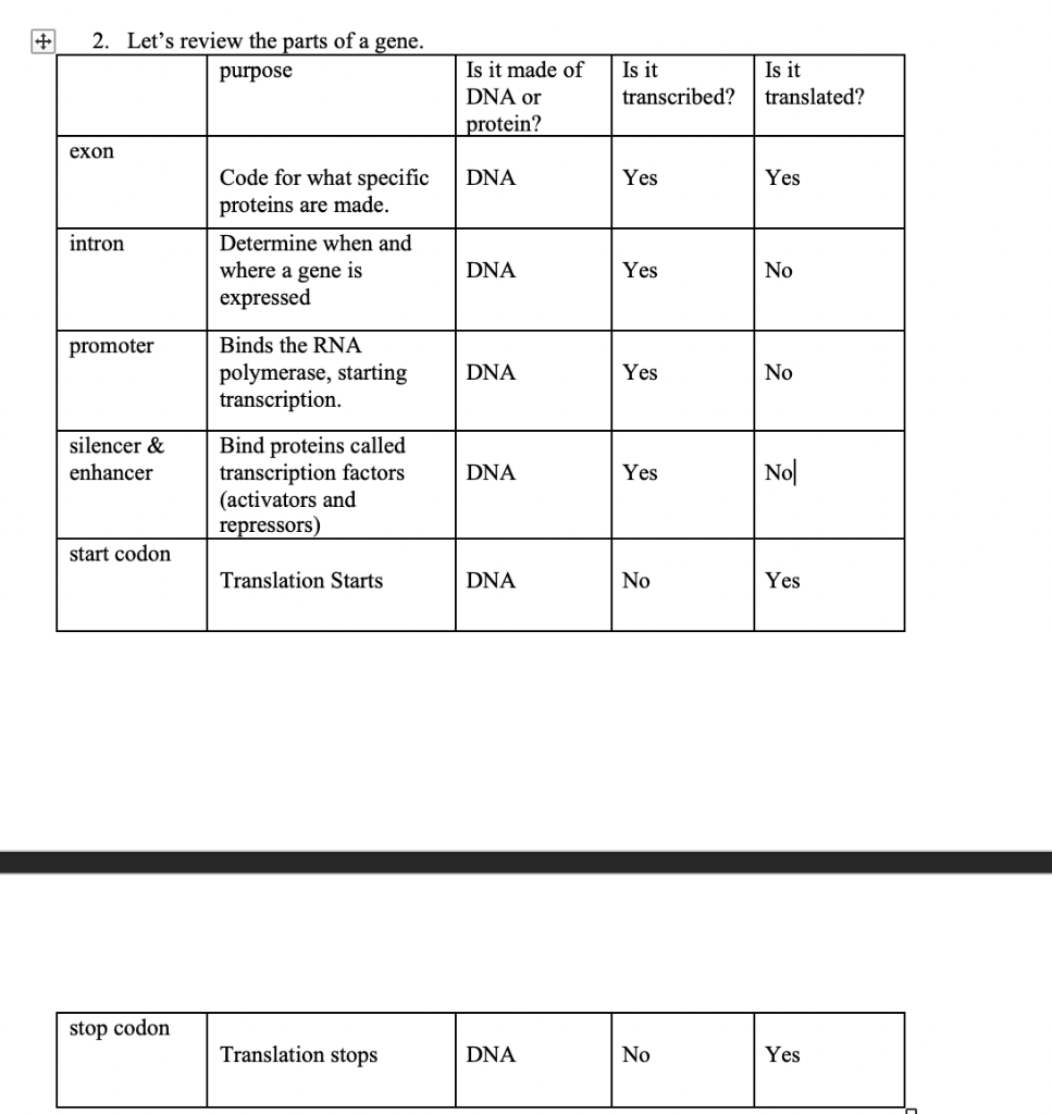 Solved Is my table above correct, having trouble figuring | Chegg.com