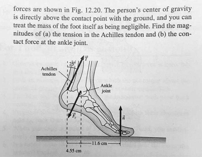 Solved 28. Figure 12.20 shows the foot and lower leg of a | Chegg.com