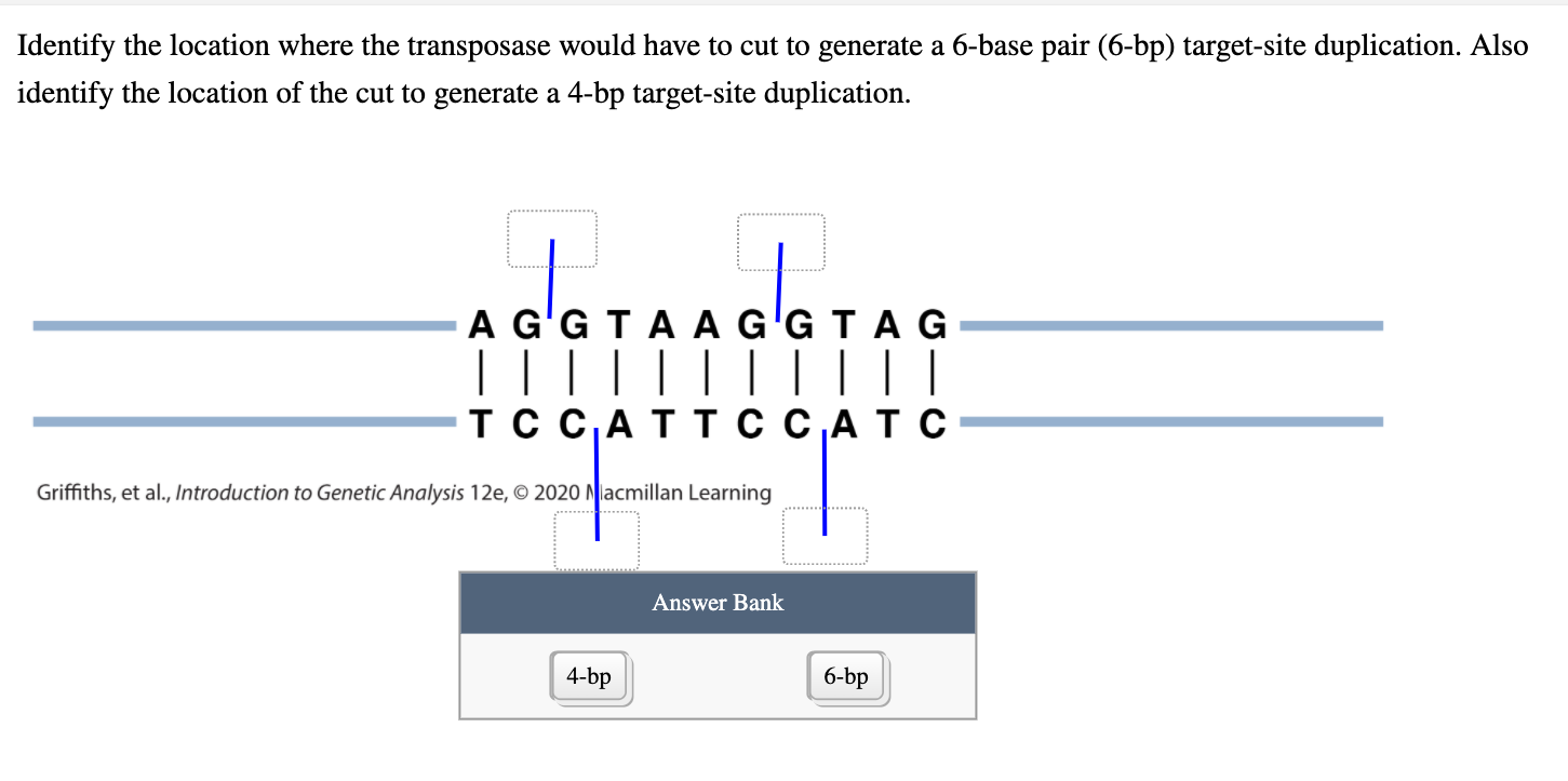 Solved Identify the location where the transposase would | Chegg.com