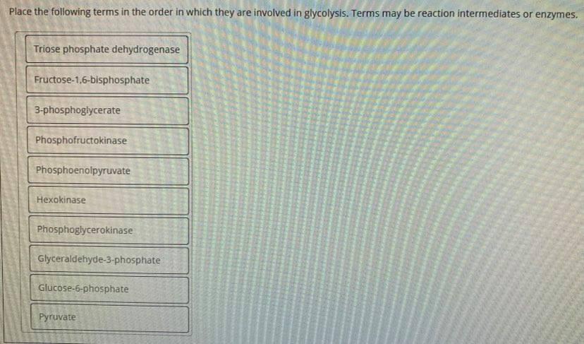 Solved Place the following terms in the order in which they | Chegg.com