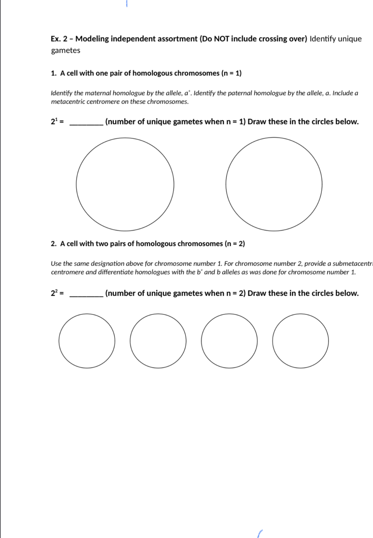 Solved Ex. 2 - Modeling independent assortment (Do NOT | Chegg.com