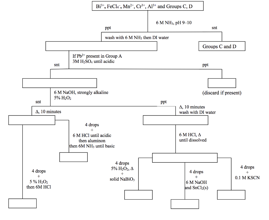 Solved If the Group B hydroxide precipitate dissolves | Chegg.com