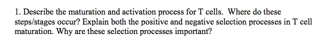 Solved 1. Describe the maturation and activation process for | Chegg.com