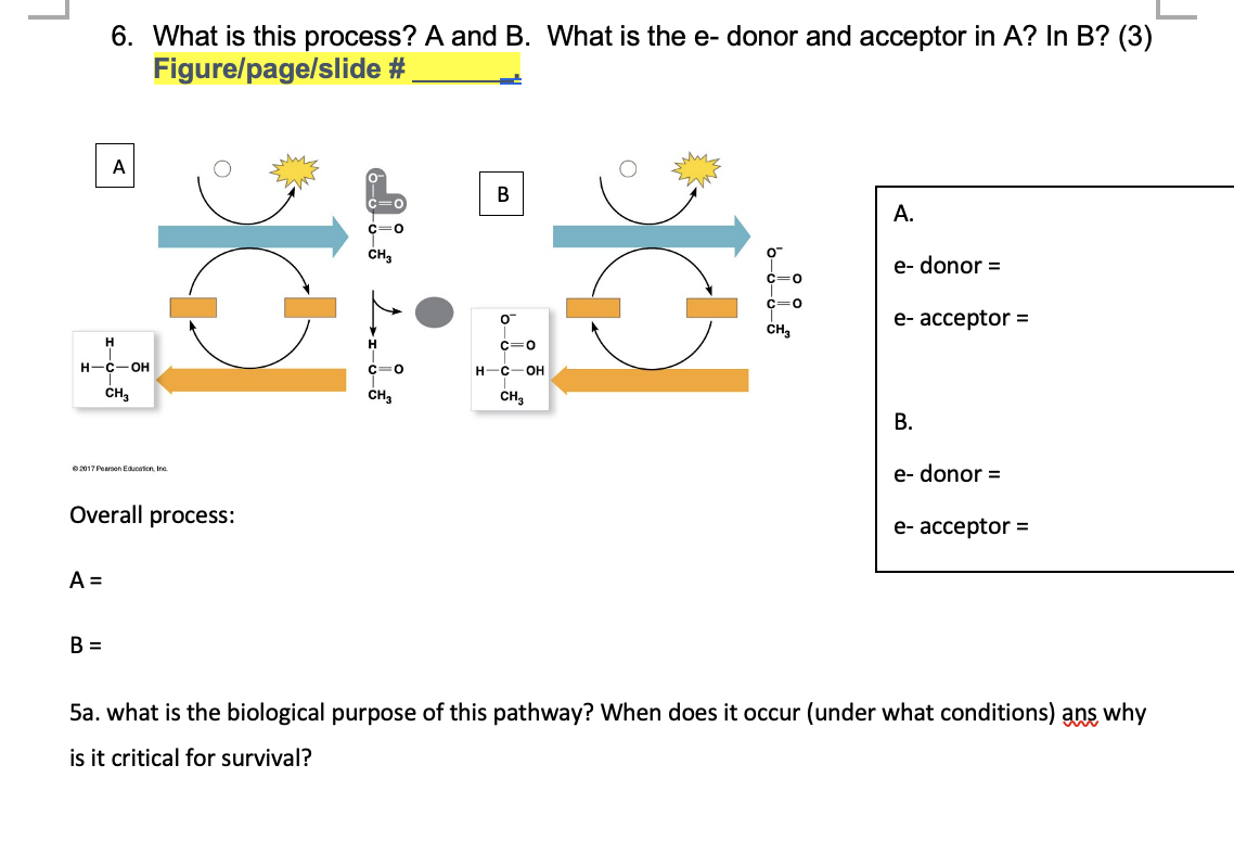 Solved 6. What is this process? A and B. What is the e- | Chegg.com