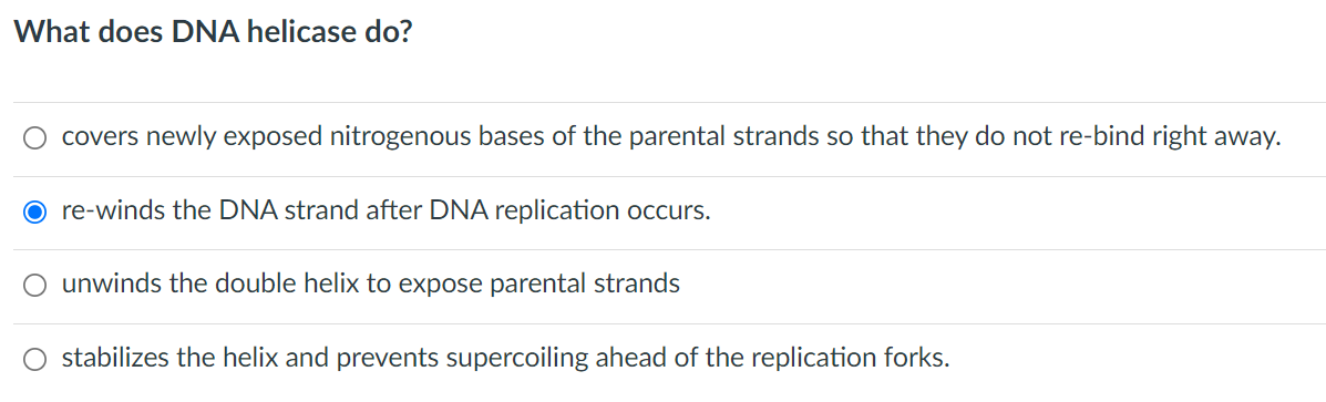 Solved What Do Single Stranded Binding Proteins Do Re Winds