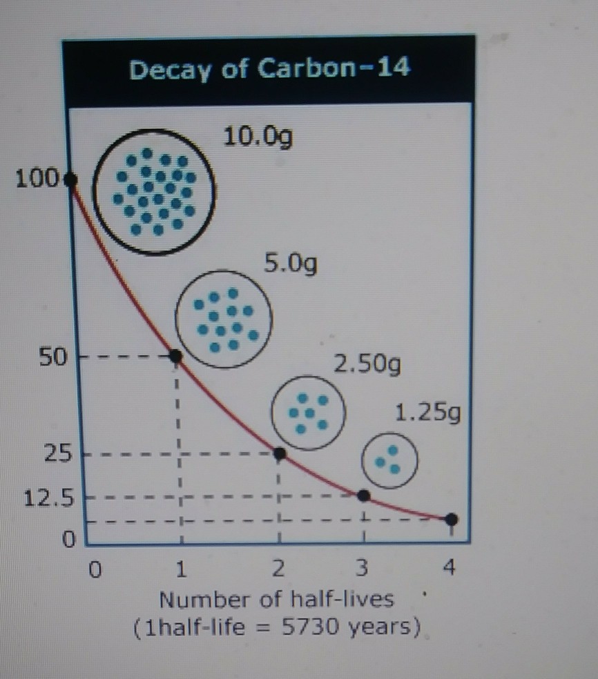 Solved Decay of Carbon-14 10.0g 100 5.0g 50 2.50g ?) 1.25g | Chegg.com