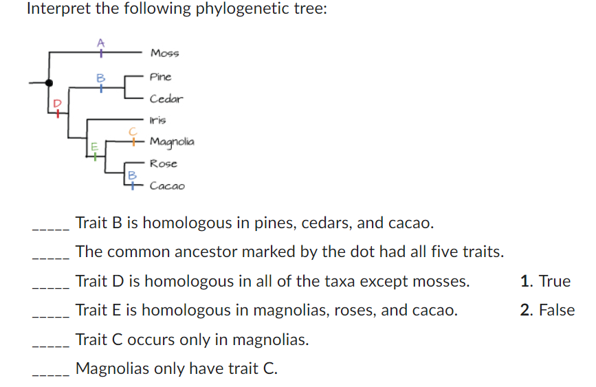 Solved Interpret the following phylogenetic tree: Trait B is | Chegg.com