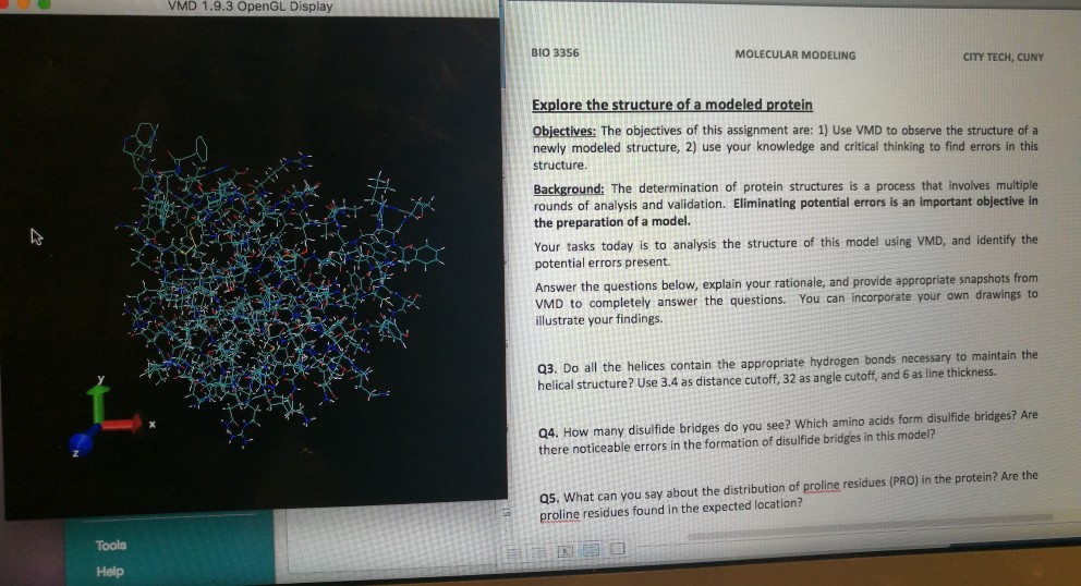 VMD 1.9.3 OpenGL Display BIO 3356 MOLECULAR MODELING | Chegg.com