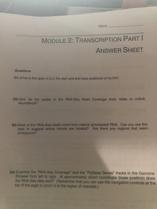 Solved Name MoDULE 2: TRANSCRIPTION PART I ANSWER SHEET | Chegg.com