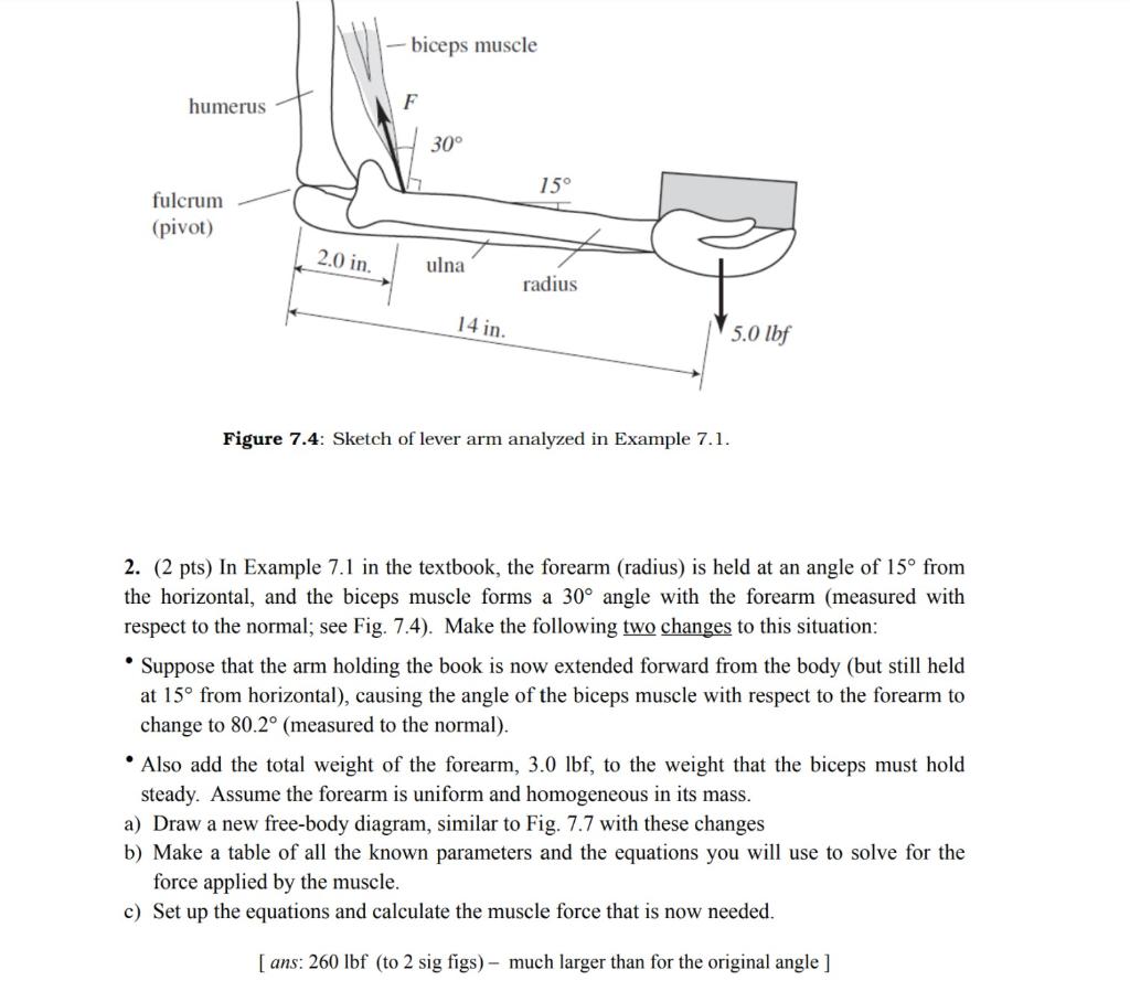 Solved biceps muscle humerus F 30° 150 fulcrum (pivot) 2.0 | Chegg.com