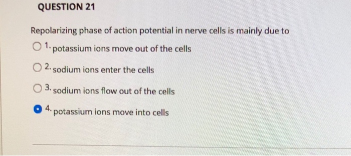 Solved QUESTION 21 Repolarizing phase of action potential in | Chegg.com