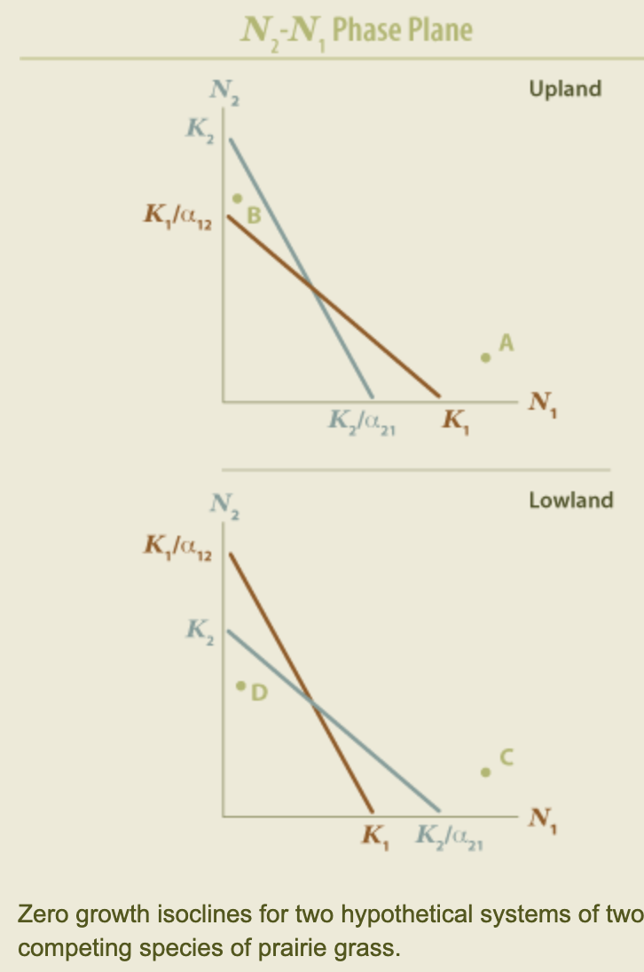 [Solved]: Observe initial conditions at points A and B (upla