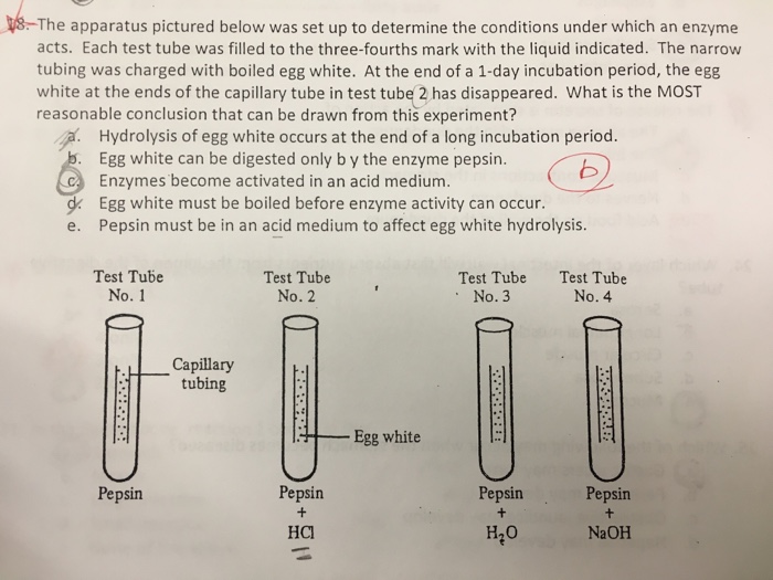 Solved The apparatus pictured below was set up to determine | Chegg.com
