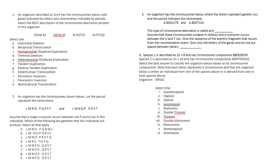 [Solved]: An organism described as 2n=4 has the chromosomes
