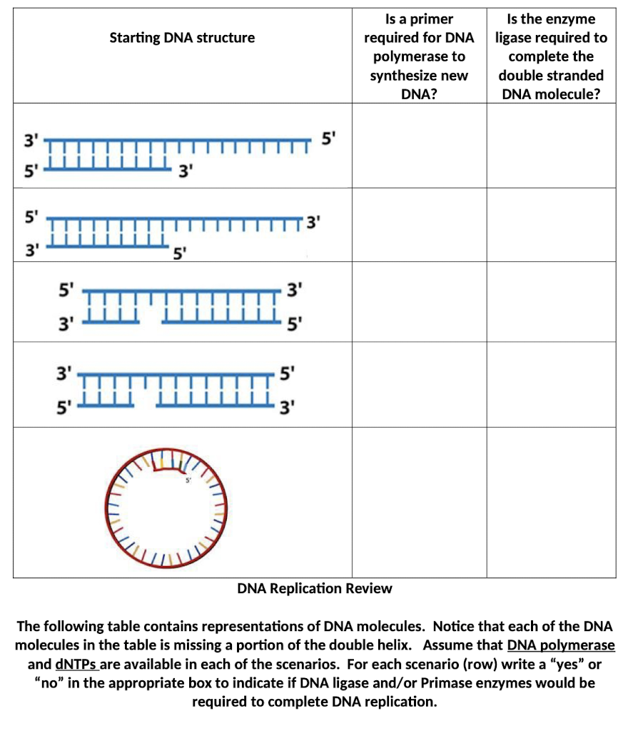 Solved The following table contains representations of DNA | Chegg.com