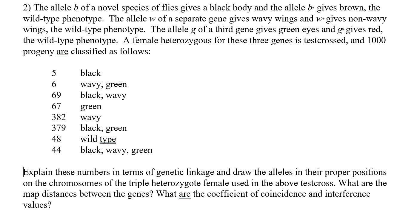 2) The allele b of a novel species of flies gives a | Chegg.com