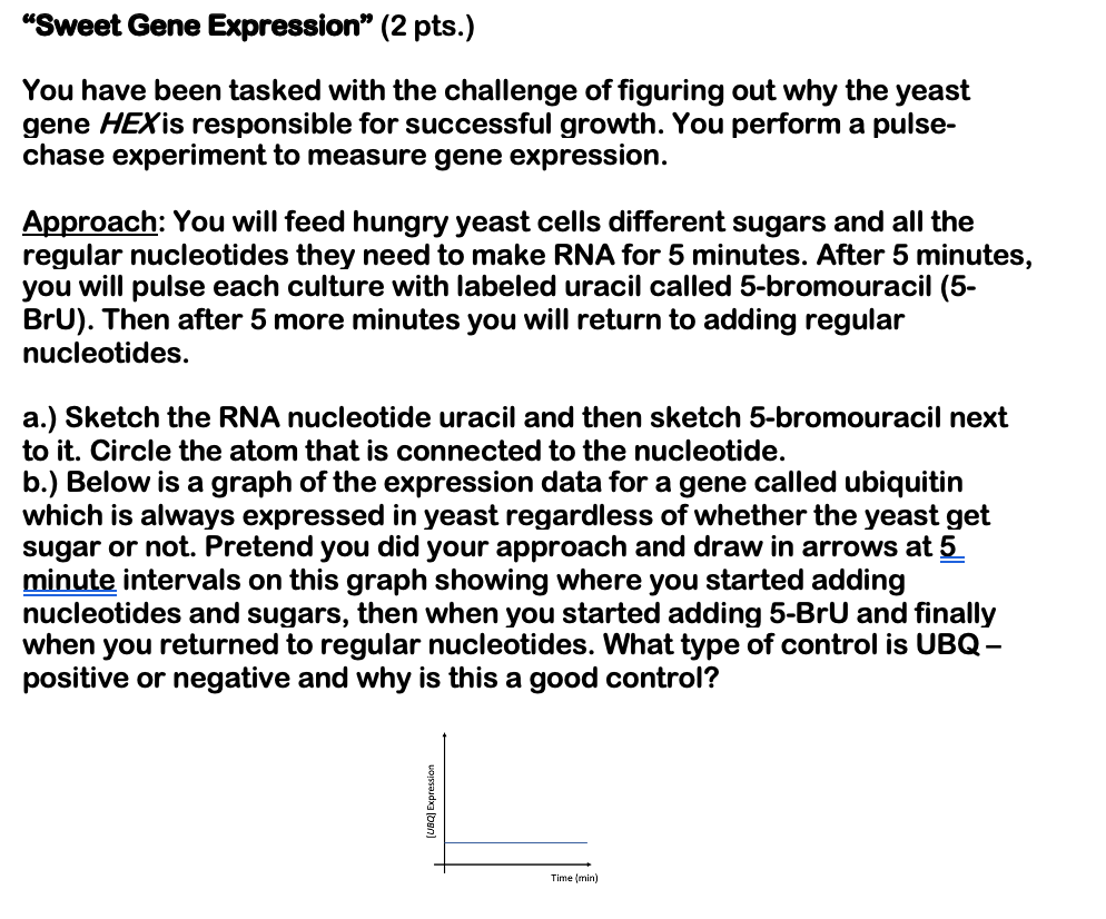 Solved "Sweet Gene Expression" (2 pts.) You have been tasked | Chegg.com