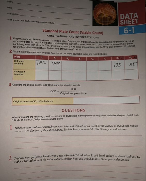 I Name Lab Section DATA SHEET was present and | Chegg.com
