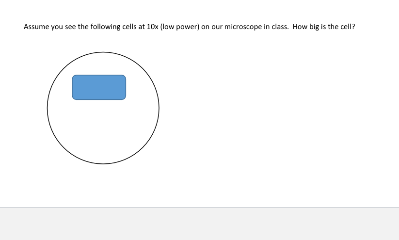 Solved Assume you see the following cells at 10x (low power) | Chegg.com