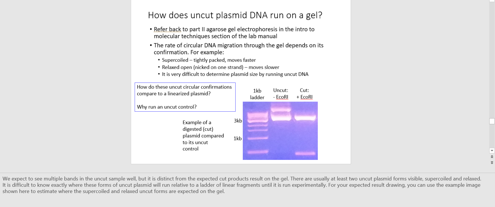 Online Genetics Lab Data Analysis Activity 2 | Chegg.com