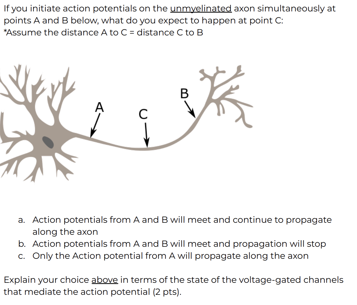a. ﻿Action potentials from A and B ﻿will meet and | Chegg.com