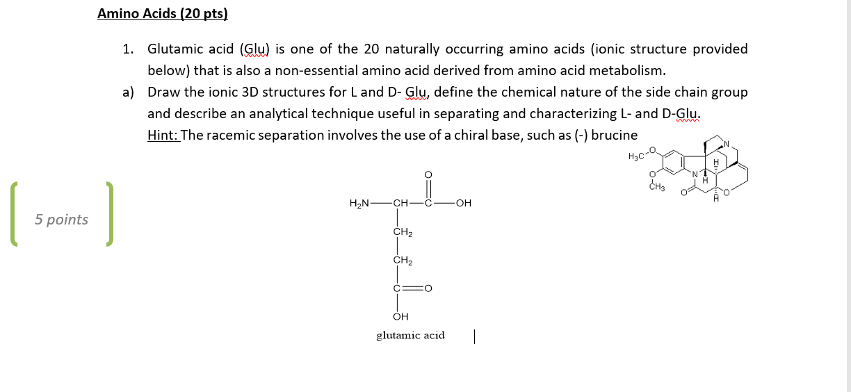 Solved Amino Acids (20 pts) 1. Glutamic acid (Glu) is one of | Chegg.com