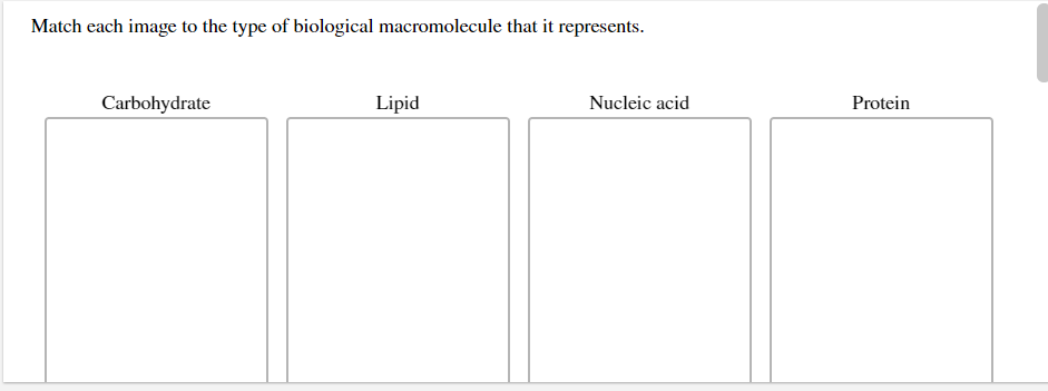 Solved Match each image to the type of biological | Chegg.com