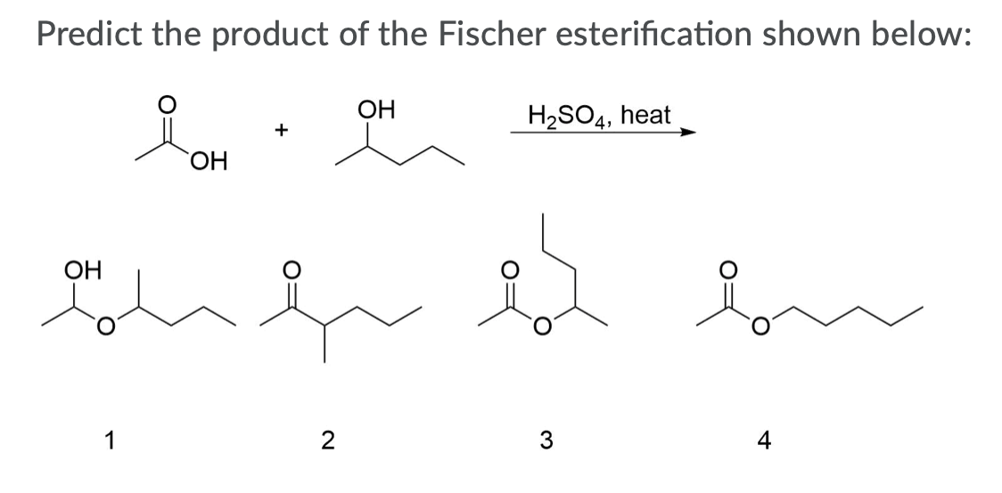 Solved Predict the product of the Fischer esterification | Chegg.com