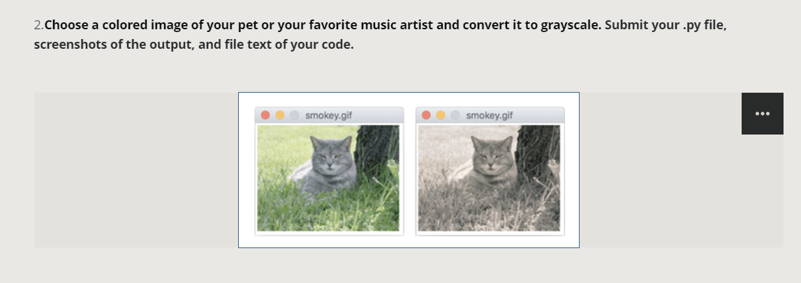 Solved 2.Choose a colored image of your pet or your favorite | Chegg.com
