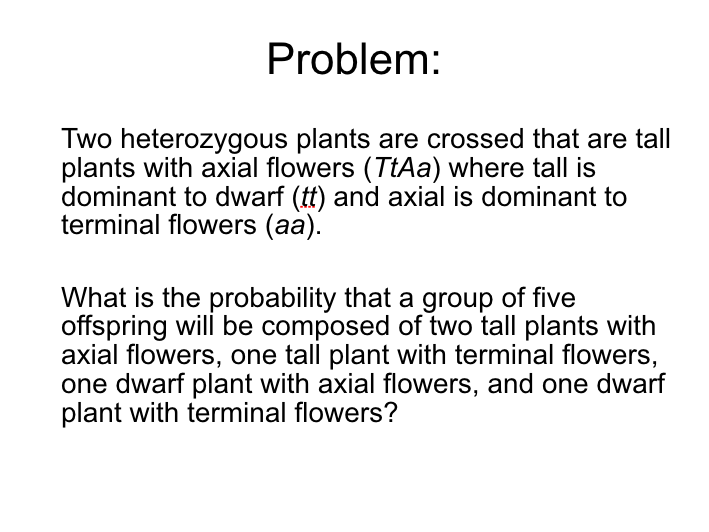 Solved Problem: Two heterozygous plants are crossed that are | Chegg.com