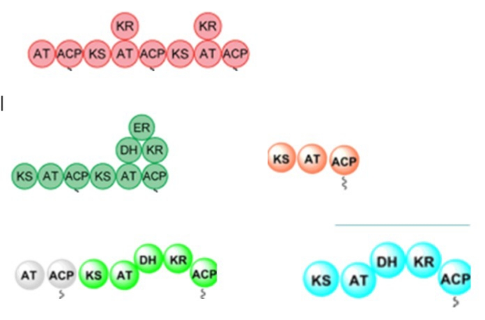 Which compound is the most dangerous from the four | Chegg.com