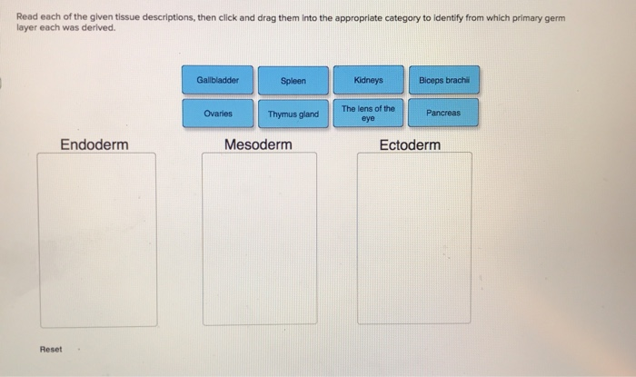 Solved Read each of the given tissue descriptions, then | Chegg.com Solved Read each of the given tissue descriptions, then | Chegg.com