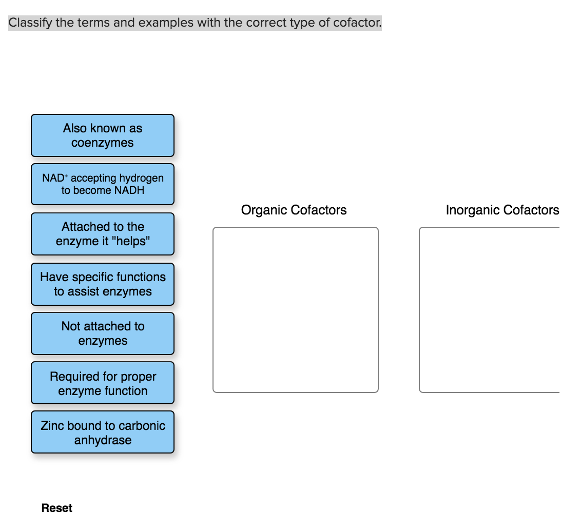 Solved Classify the terms and examples with the correct type | Chegg.com