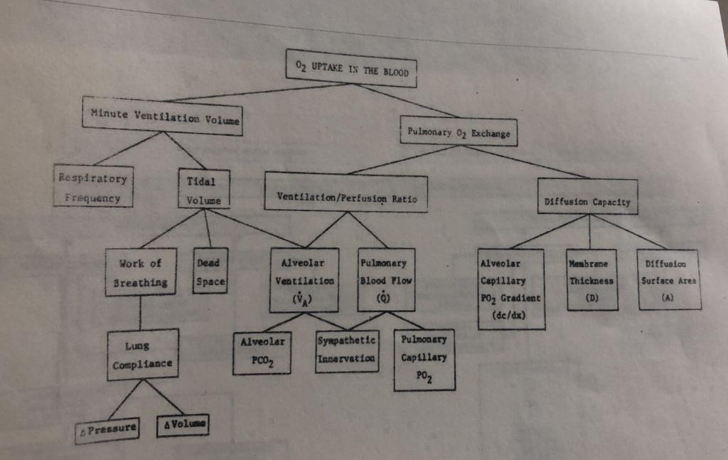 CLASS: equine exercise and physiology. 1.Diagram and | Chegg.com