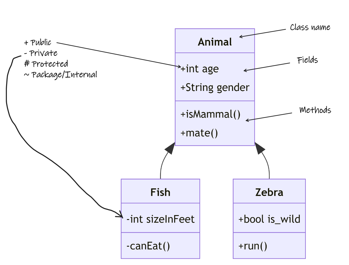 Solved 1. Animal class: Fields: public int age public | Chegg.com Solved 1. Animal class: Fields: public int age public | Chegg.com