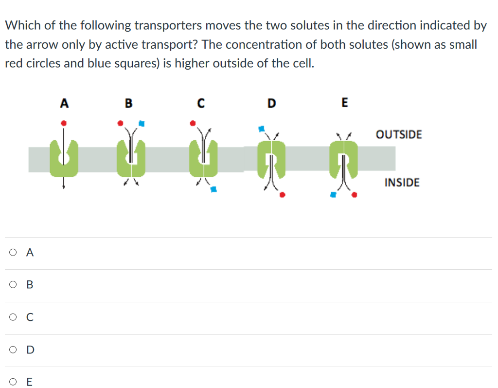 Solved Which of the following transporters moves the two | Chegg.com